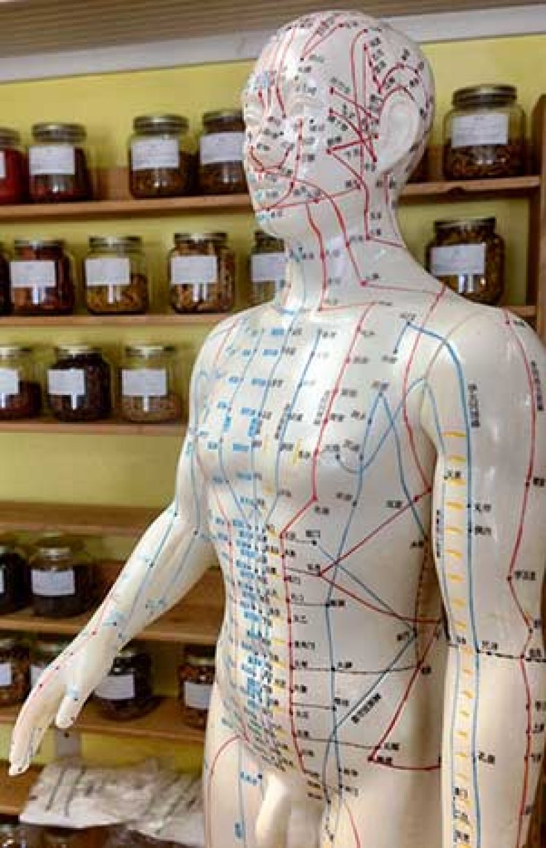 The Meridian System: What You Need To Know - All Things Massage